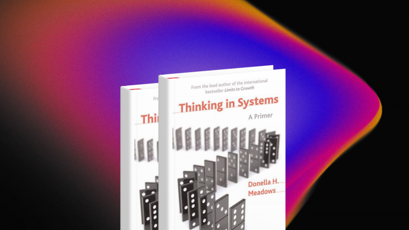 Thinking in Systems: International Bestseller - WEZOM
